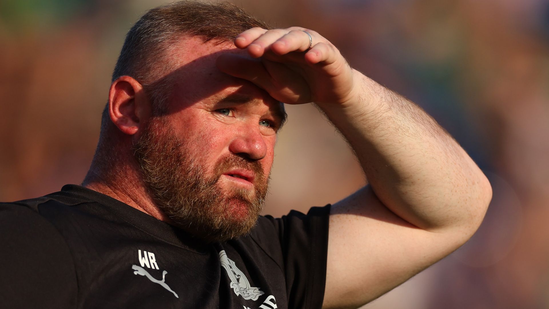 Was Wayne Rooney appointed for ‘profile reasons’? Why Man Utd legend got Plymouth job explained ...